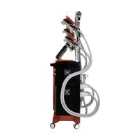 China 360 Cryotherapy Cryo Body Slimming Criolipolisis Freezing Vacuum Slimming CryoLipolysis Machine for sale