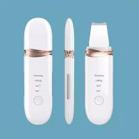 China Portable Ultrasonic Skin Scrubber Pores Cleansing Anti Aging Instrument for sale