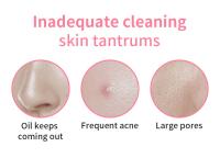 China High Speed Cleansing Brush Silicone Face Cleaner Beauty Instrument At Home for sale