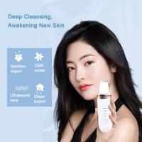 China Ultrasonic Cleaning Lifting Skin care Machine Spatula Positive Negative Ions Export EMS Skin Scrubber for sale