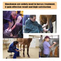 China Mobile Shockwave Therapy Machine 80mj Vet Physical Therapy Equipments for sale