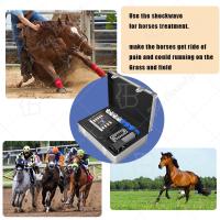 China Mobile Shockwave Therapy Machine 80mj Vet Physical Therapy Equipments for sale