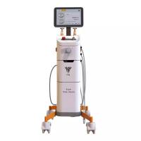 China Touch screen 448khz Laser Beauty Equipment Tecar Therapy Weight Loss for sale