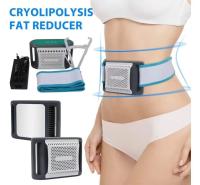 China Home Use Slimming Criolipolisis Machine Cryo Cold Fat Reduction Cryotherapy Beauty Equiment for sale