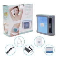 China Home Use Slimming Criolipolisis Machine Cryo Cold Fat Reduction Cryotherapy Beauty Equiment for sale