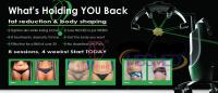China 10d Laser Slimming Machine Weight Loss 532nm Green Emerald Laser Machine for sale