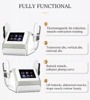 China Desktop Body Contouting machine  Body Sculpting Slim Muscle Stimulator Machine for sale