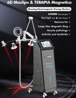 China Vertical Physical Therapy Laser Machine Rehabilitation Weight Loss 635nm Red Laser 6D Slimming Machine for sale