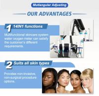 China 14 In 1 Microdermabrasion Machine Aqua Peeling Hydro Oxygen Facial Diamond Dermabrasion Machine for sale