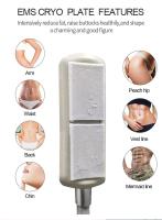 China Cryo Slimming Ems Plates Muscle Stimulator Body Sculpting Machine for sale