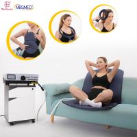 China EMTT Pemf Magnetic Mat Physio Magneto Therapy Pmst Loop Machine for sale