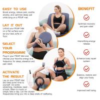 China Magnetotherapy Pemf Loop Mat Terahertz Magnetic Therapy Device for sale