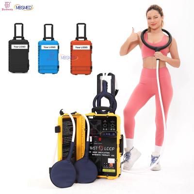 China Magnetotherapie Pmst Neo Pulse Electromagnetic Pemf Loop Device for sale