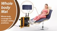 China Magnetotherapie Pmst Neo Pulse Electromagnetic Pemf Loop Device for sale