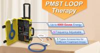 China Magnetotherapie Pmst Neo Pulse Electromagnetic Pemf Loop Device for sale