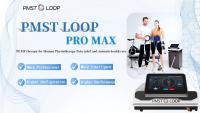 China Pemf Loop Equine Pmst Loop Physical Therapy Magnetic Pmst High Powered Magneto Pemf Therapy Machine for Human and Horse for sale