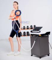 China Health Wellness Human Animal Pemf Mat Therapy Physio Magneto Device for sale