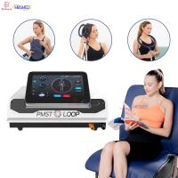 China Health Wellness Human Animal Pemf Mat Therapy Physio Magneto Device for sale
