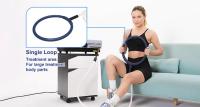 China Pmst Double Loop Mat Physical Therapy Physio Portable PEMF Magnetic Therapy Device For human for sale