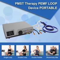 China Pmst Double Loop Mat Physical Therapy Physio Portable PEMF Magnetic Therapy Device For human for sale
