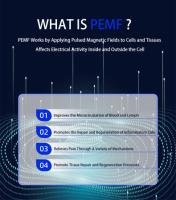 China Pemf Magnetic Therapy Pmst Loop Mattress Pemf Full Body Mat Pemf Magnetic Therapy Mat for sale