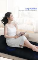 China Pemf Magnetic Therapy Pmst Loop Mattress Pemf Full Body Mat Pemf Magnetic Therapy Mat for sale