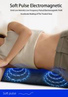 China Pemf Magnetic Therapy Pmst Loop Mattress Pemf Full Body Mat Pemf Magnetic Therapy Mat for sale