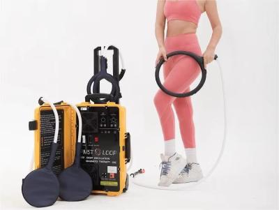 China Pemf Pulsed Magnetic Therapy Genwave  Pmst Loop Pemf Healthy Device for sale