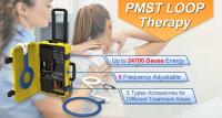China Pemf Pulsed Magnetic Therapy Genwave  Pmst Loop Pemf Healthy Device for sale