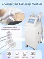 China Cryolipolysis Vertical 4 Handles Multifunctional Body Shape 360 Cool Cryolipolysis Slimming Machine Skin Tightening for sale