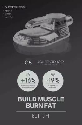 China Portable Ems Body Slimming Muscle Stimulate Machine For Arms / Belly / Thigh Treatment for sale