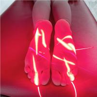 China Fibromyalgia 635nm 405nm Diode Laser Cold Laser Therapy Photobiomodulation Physiotherapy PDT LED Red Light Therapy Machine for sale