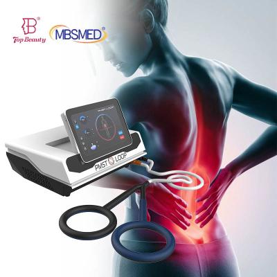 China Professional Pemf Therapy Magneto Equines Pmst Loop Portable Magnetotherapy Pemf Therapy Machine for Horses for sale