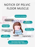 China Non-invasive Electromagnetic Ems Pelvic Floor Muscle Repair Device for sale