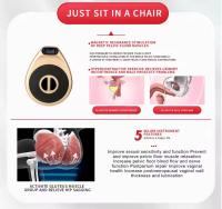 China Non-invasive Electromagnetic Ems Pelvic Floor Muscle Repair Device for sale