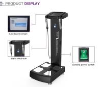 China Full Body Health Digital Fat Bioelectrical Impedance Analysis Analyzer Scale for sale