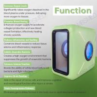 China 1.5ata 2.0ata Hyperbaric Oxygen Therapy Device Hard Shell HBOT Hyperbaric Chamber 2.0 ATA for Beauty Salon for sale