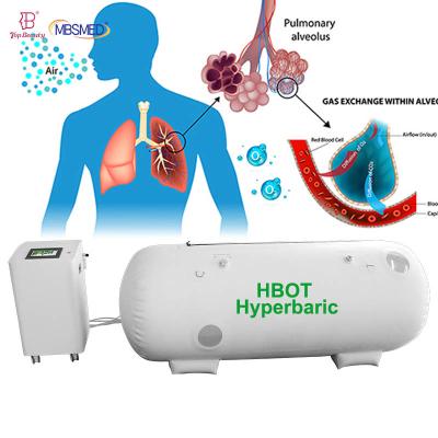 China 2.0ATA All-in-One HBOT Machine Air Compressor with Oxygen Generation 1.5ATA Hyperbaric Oxygen Chamber for sale