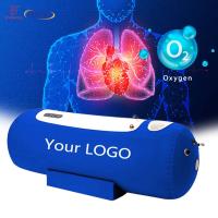 China Home Most Popular Portable Hyperbaric Therapy Oxygenation Chamber 1.5 2 Ata Hbot Oxygen Hyperbaric-Oxygen-Chamber for sale