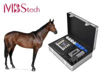 China Portable Veterinary Shockwave Treat Orthopedic Problems In Horses Shockwave Therapy Machine for sale