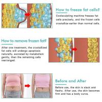 China Portable Home Use Body Slim Machine Weight Loss Cryolipolysis Fat Freeze Belt for sale