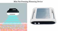 China Portable Home Use Body Slim Machine Weight Loss Cryolipolysis Fat Freeze Belt for sale
