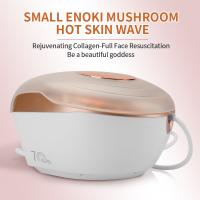 China High-end Salon Rf Beauty Equipment Professional Facial Rejuvenation Lifting Machine Wrinkle Removal Beauty Instrument for sale