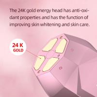 China 2021 Newest Facial Beauty Device Rf Ems Functions Portable Photon Multifunctional Beauty Device for sale