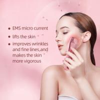 China 2021 Newest Facial Beauty Device Rf Ems Functions Portable Photon Multifunctional Beauty Device for sale