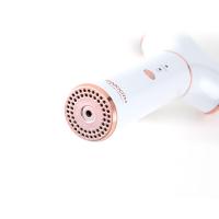 China Tightening Pores And Shrinking Home Rf Facial Cleansing Device For Skin Rejuvenation And Acne Rf Beauty Device for sale