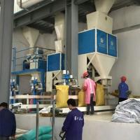 China Double Hopper Auto Rice 3kw Pellet Filling Machine for sale