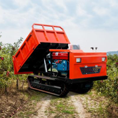 China 2 Ton Crawler Dumper Truck CE Hydraulic Diesel Construction Machine with Steel Rubber Tracks for sale
