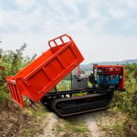 China 2 Ton Crawler Dumper Truck CE Hydraulic Diesel Construction Machine with Steel Rubber Tracks for sale