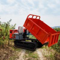 China 2 Ton Crawler Dumper Truck CE Hydraulic Diesel Construction Machine with Steel Rubber Tracks for sale